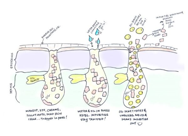 Oily Skin Treatments: Can I Use Oil Cleanser with Oily Skin? - My Cozy Room